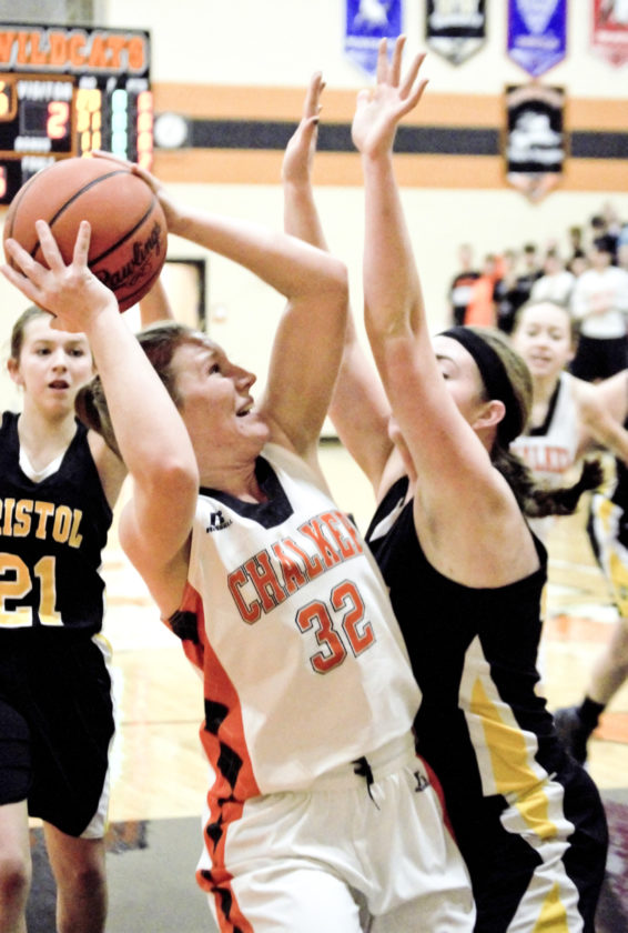 Chalker, Warnick stifle Bristol | News, Sports, Jobs - Tribune Chronicle